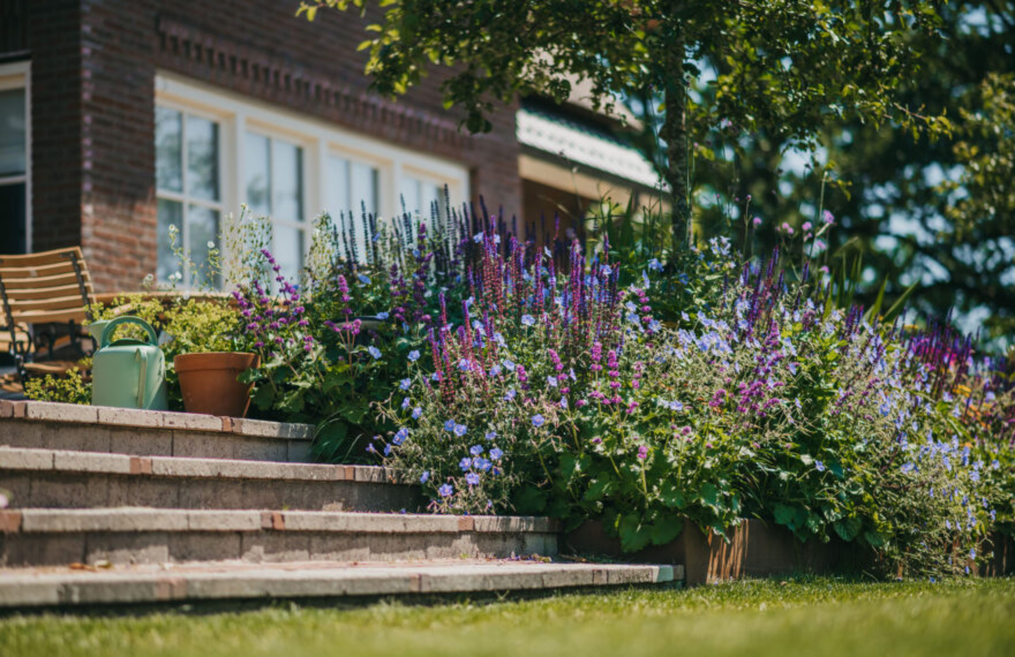 Tuinen • Soetendaal Hoveniers